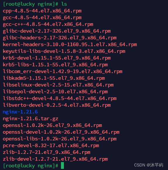 Nginx环境搭建、docker安装_安装kernel-headers.rpm后怎么启动-CSDN博客