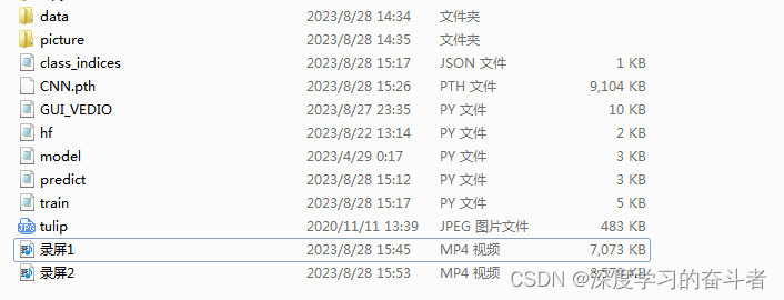 玉米叶病害识别（图像连续识别和视频识别python代码，pytorch框架）pythod病理图像识别 Csdn博客