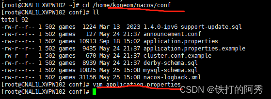 Linux安装nacos2.2.3-CSDN博客