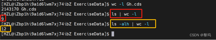 DAY 2 复习基本Linux指令+初识FASTA_fasta初识-CSDN博客