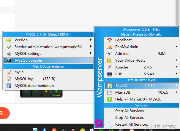 Wampserver集成mysql更改密码后无法登陆,提示 Hy000 1045 解决方案 Wampserver连接数据库1045 Csdn博客