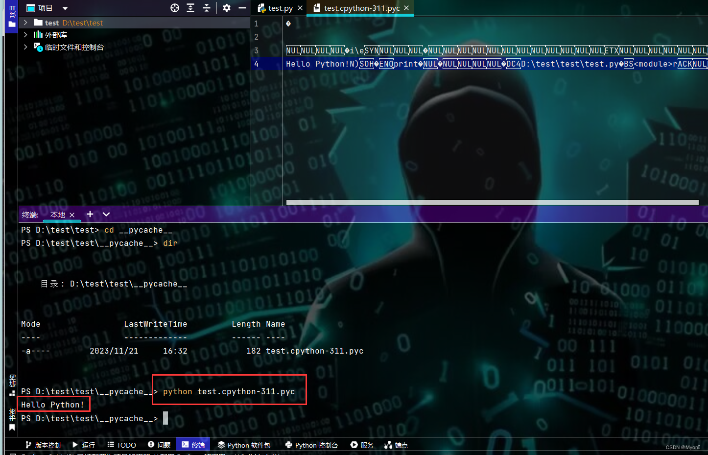 Python之pyc文件的生成与反编译-CSDN博客