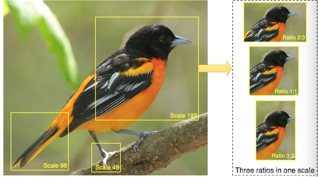 Learning to Navigate for Fine-grained Classification 论文阅读详解_learning to navigate for fifine ...
