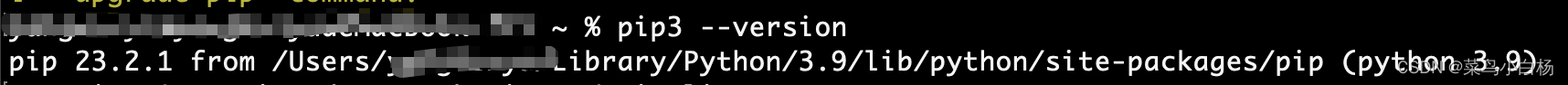 【MAC】WARNING: The scripts pip, pip3, pip3.11 and pip3.9 are installed in ‘/Users/yangxinyu ...