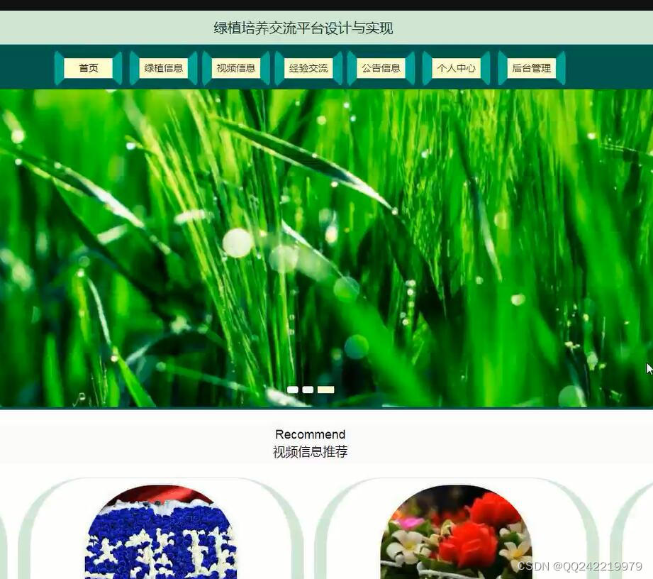 Springmvc绿植培养交流平台java的ssm设计与实现基于mvvm的植物爱好者交流平台的设计与实现 Csdn博客