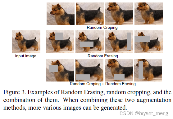 【Random Erasing】《Random Erasing Data Augmentation》-CSDN博客