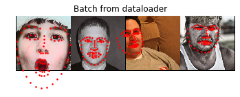 Pytorch:Load and Preprocess Images (五)-CSDN博客