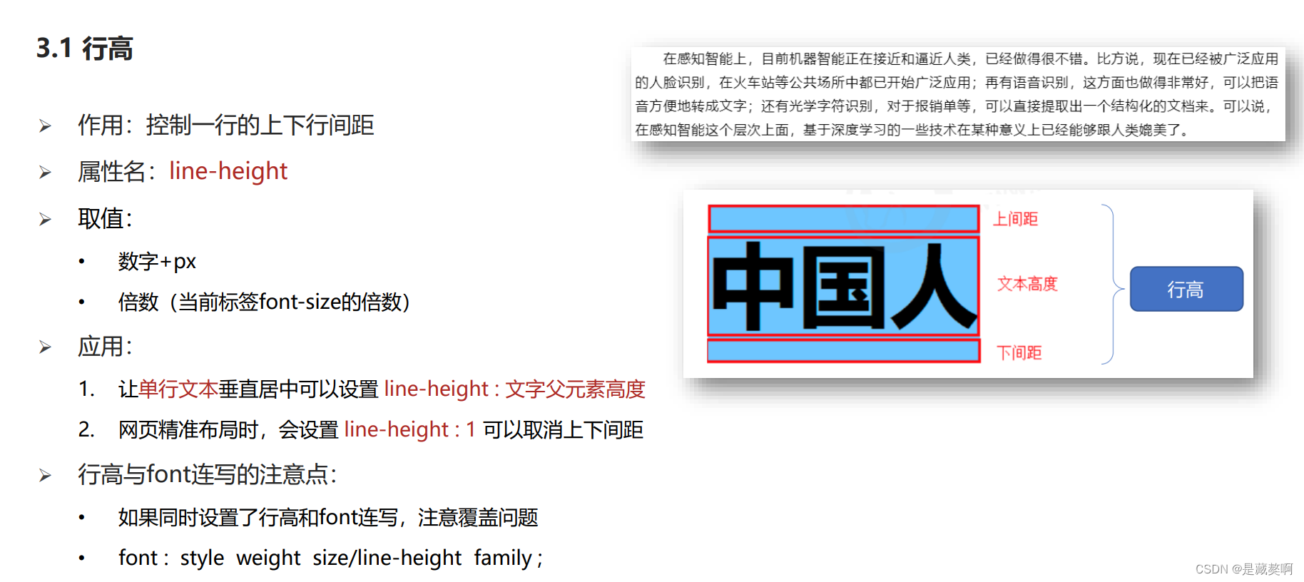 前端学习Day03-CSDN博客