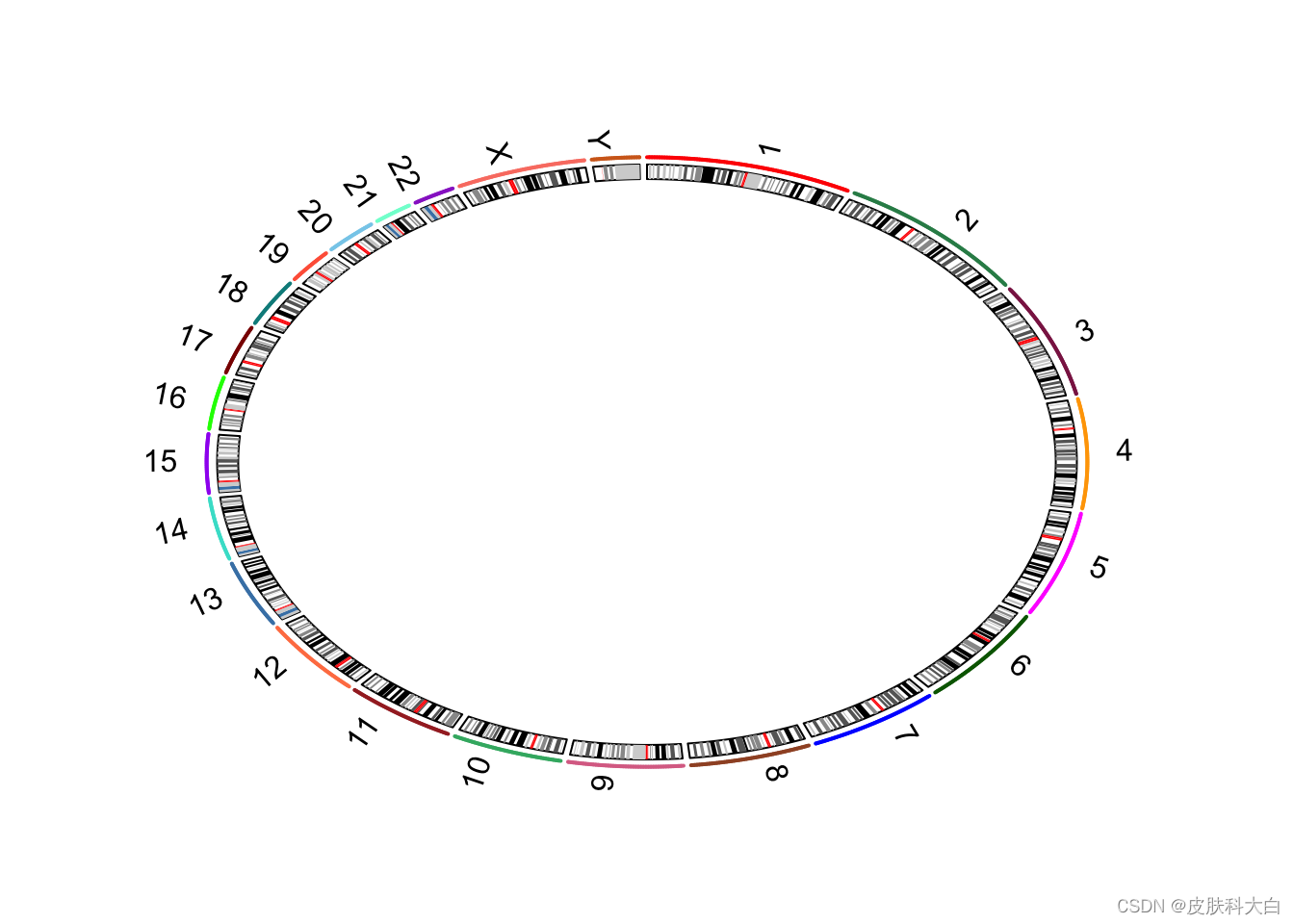用RCircos包来画圈圈图-CSDN博客
