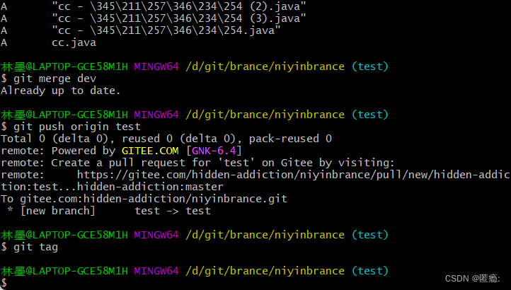 git分支与tag标签的介绍与使用)_git tags-CSDN博客