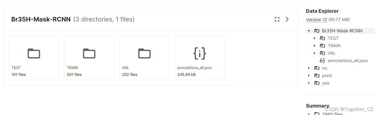 RCS-YOLO快速高精度的用于脑肿瘤检测的目标检测模型学习实践_rcs-yolo: a fast and high-accuracy object detector-CSDN博客