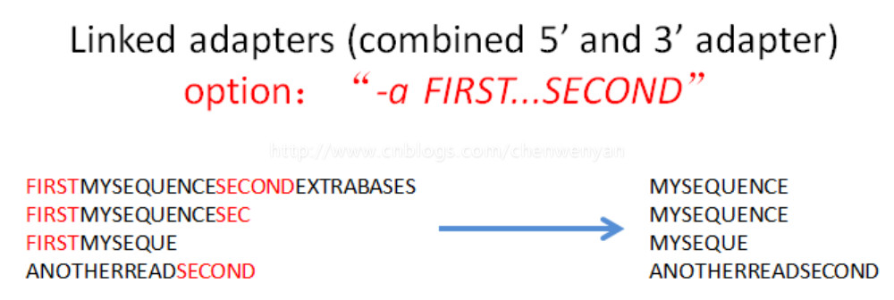 外显子分析：cutadapt，去除序列adapter详细解析-CSDN博客