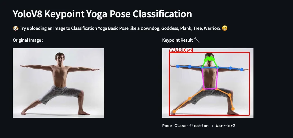 使用PyTorch神经网络和YoloV8识别身体姿势_yolov8 识别高举双手-CSDN博客