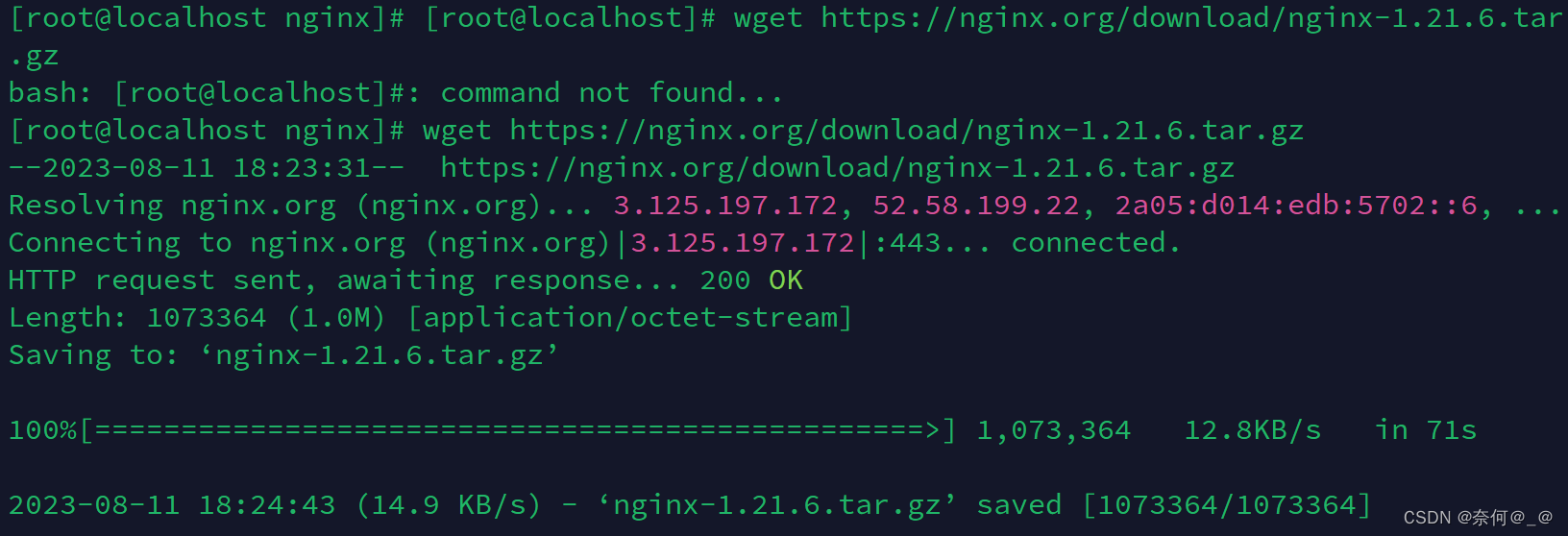 在Centos7环境中搭建Nginx环境_centos7 nginx-CSDN博客