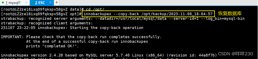 本地数据库迁移到云端服务器_数据库部署到云服务器-CSDN博客
