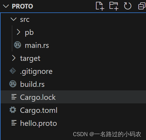 rust 中protobuf生成与使用_rust proto-CSDN博客