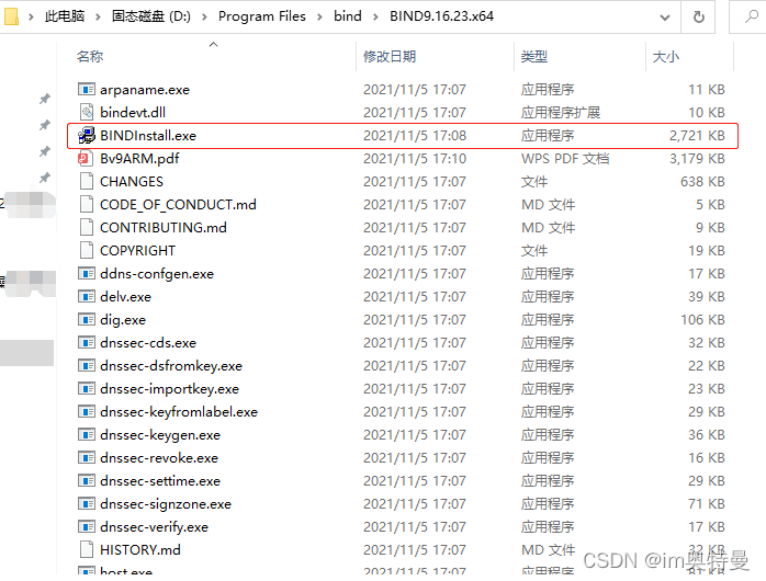 Windows10 下安装 dig 命令的步骤（一）_windows dig-CSDN博客