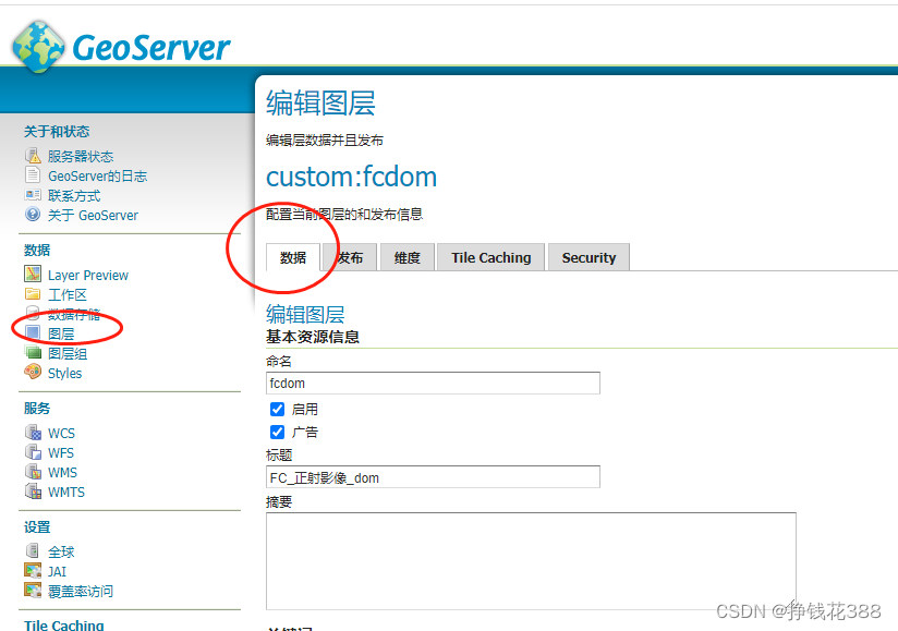 GeoServer+PostgreSQL+PostGIS+Tomcat+QGIS一整套发布部署_geoserver postgresql-CSDN博客