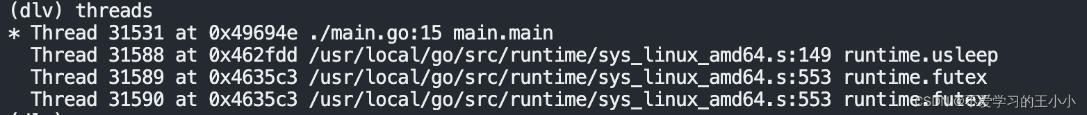 【golang的gdb之dlv】_golang dlv-CSDN博客
