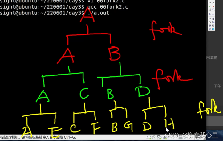 Linux进程_linux分配tpid-CSDN博客