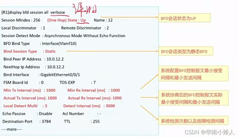 第十三章、BFD 协议原理与配置_bfd状态机-CSDN博客