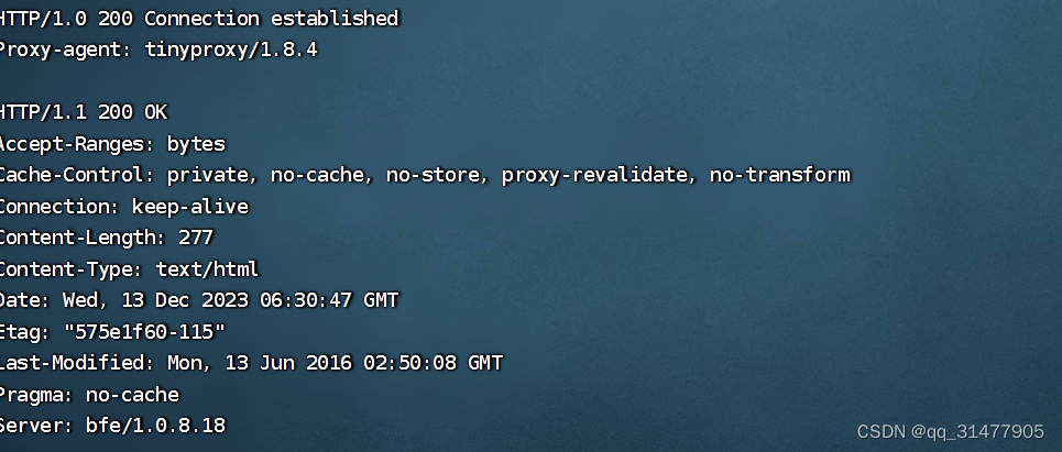客户端服务器如果要保持长期的代理可以写入系统的环境配置文件_。如果你想要永久设置代理,你需要将这些命令添加到系统的环境变量设置中。-CSDN博客