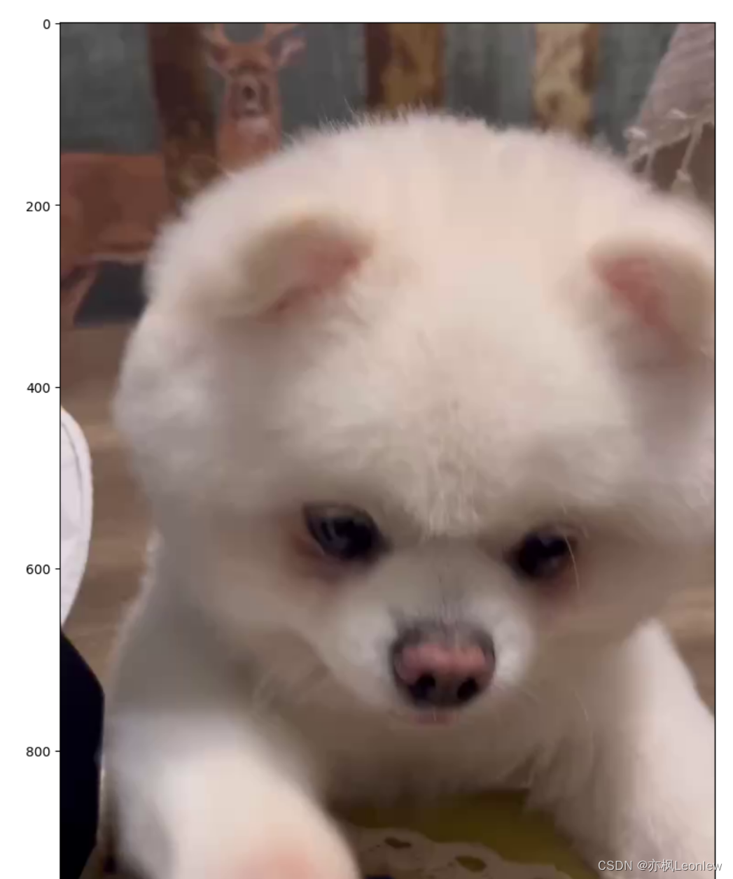 Python Opencv实践 - 视频目标追踪CamShift_python视频目标追踪-CSDN博客