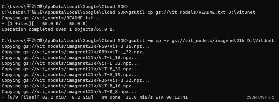 ＜模型or数据集下载＞配置gsutil下载google cloud资源简易教程_gsutil命令下载-CSDN博客