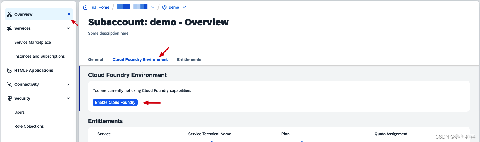 BTP上的ABAP开发（1）环境搭建_abap btp-CSDN博客