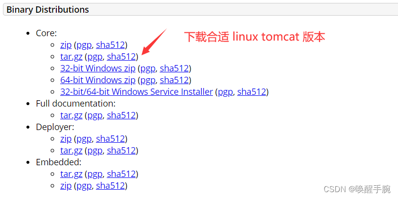 Linux 操作系统云服务器安装部署 Tomcat 服务器详细教程_如何在linux 云服务器上安装tomcat-CSDN博客