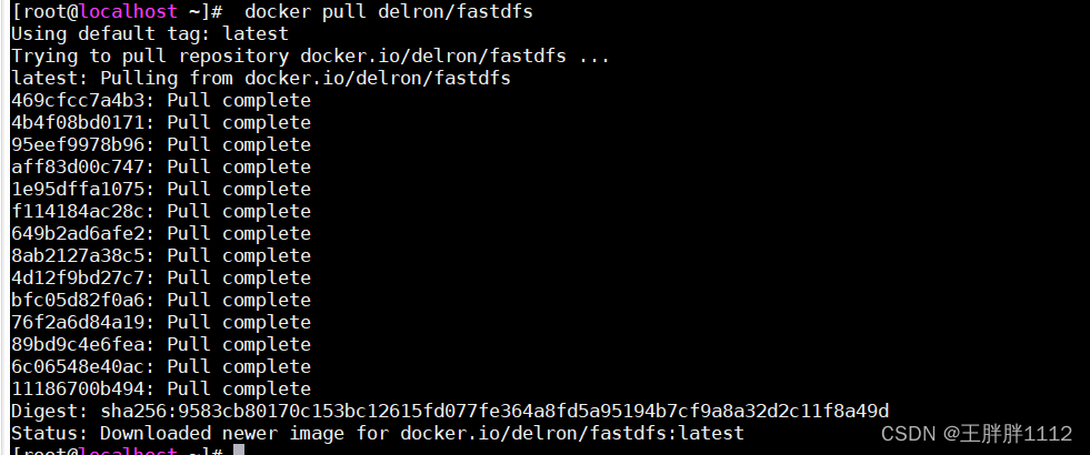 Centos7安装FastDFS_fastdfs版本号查看-CSDN博客