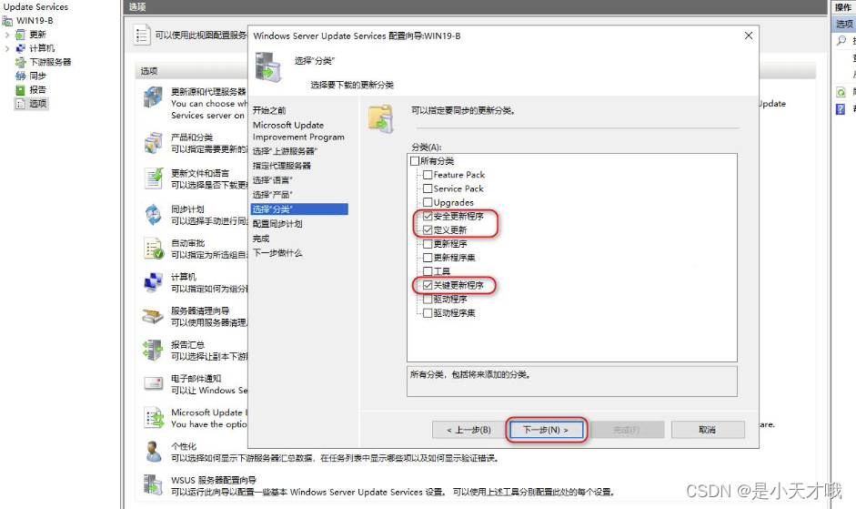 windows server服务-WSUS服务搭建_wsus补丁服务器-CSDN博客