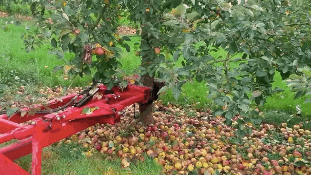 Tree-Shaking 作用和实现原理-CSDN博客