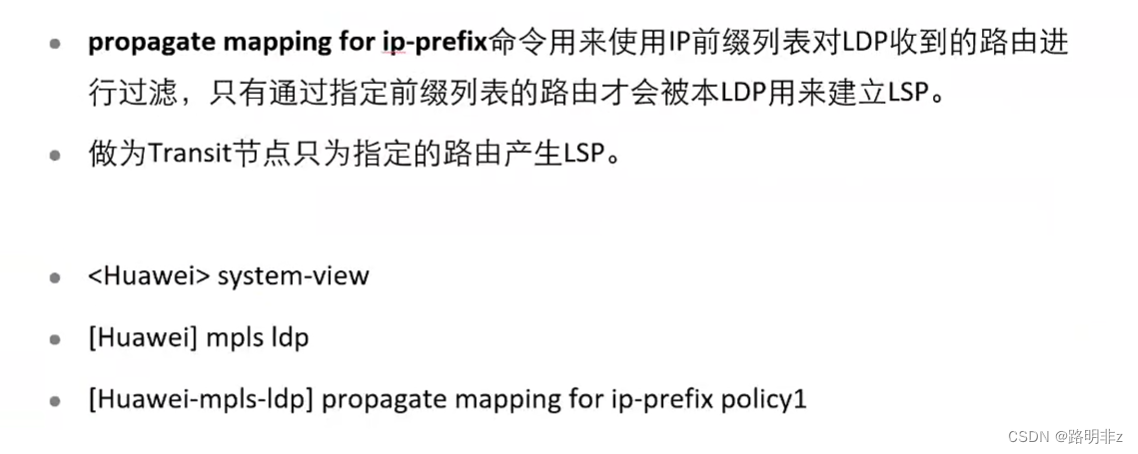 MPLS与MPLS VPN详解-CSDN博客