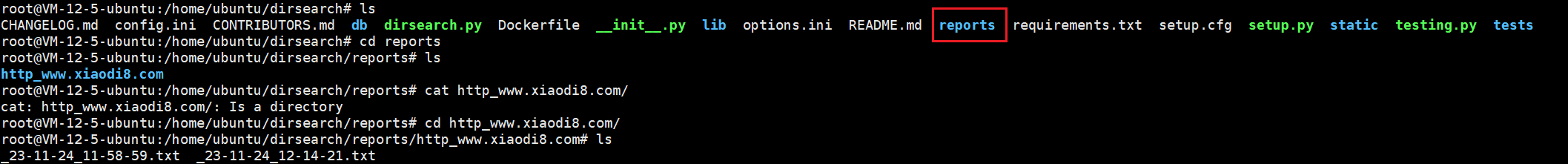 Dirsearch简单使用_dirsearch添加字典-CSDN博客