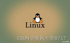Linux系统zip压缩命令详细参数，附文件排除选项的正确用法_zip -m-CSDN博客