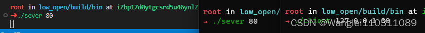 SO_REUSEADDR 和 SO_REUSEPORT 的区别和用法实例详细探究讲解_soreuseaddr可以解决timewait吗-CSDN博客