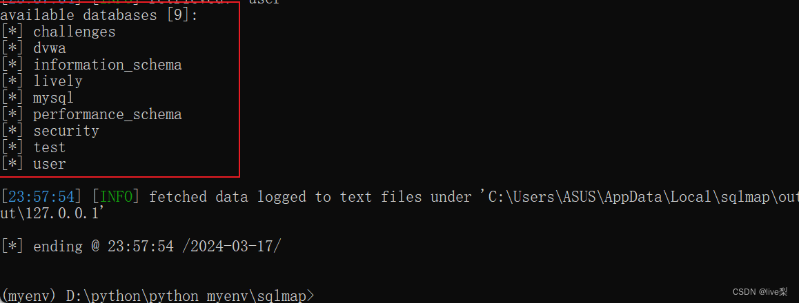 DNSLog注入及SQLmap工具使用-CSDN博客