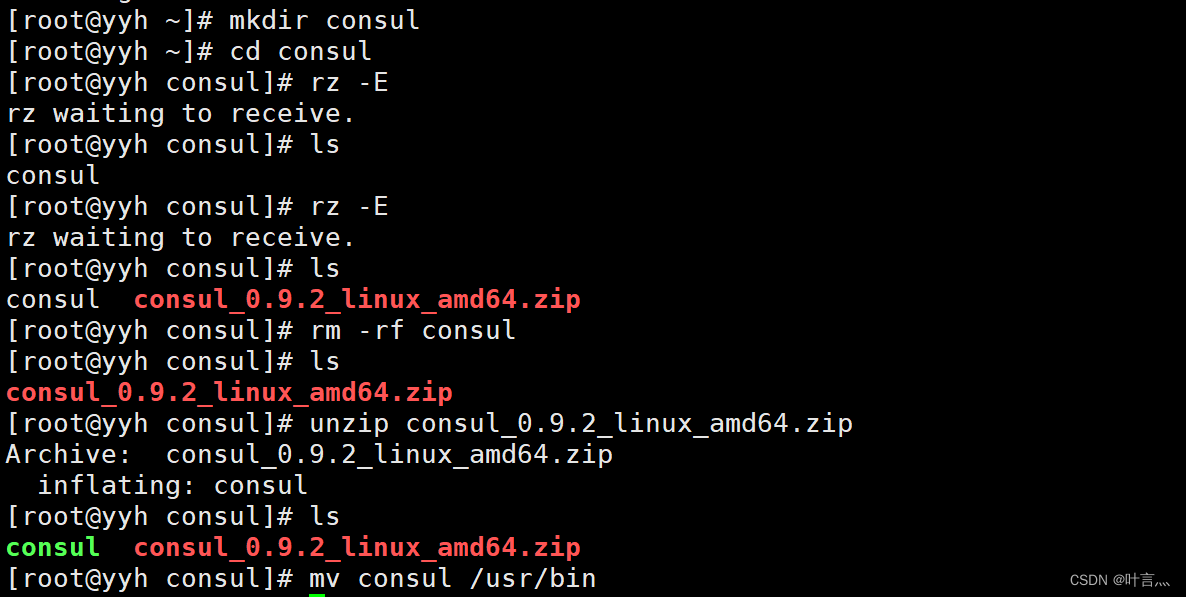 Docker容器——Consul部署_consul 容器部署-CSDN博客
