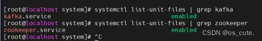 Linux系统下使用systemctl服务启动kafka和zookeeper_systemctl kafka-CSDN博客