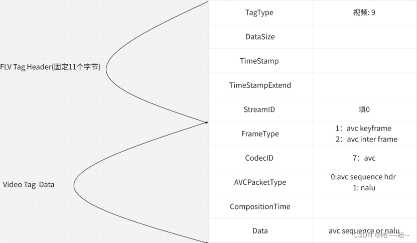 FLV格式讲解_flv格式详解-CSDN博客