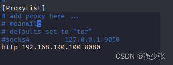 使用proxychains代理流量转发至burp_mitmproxy流量转发给burp-CSDN博客