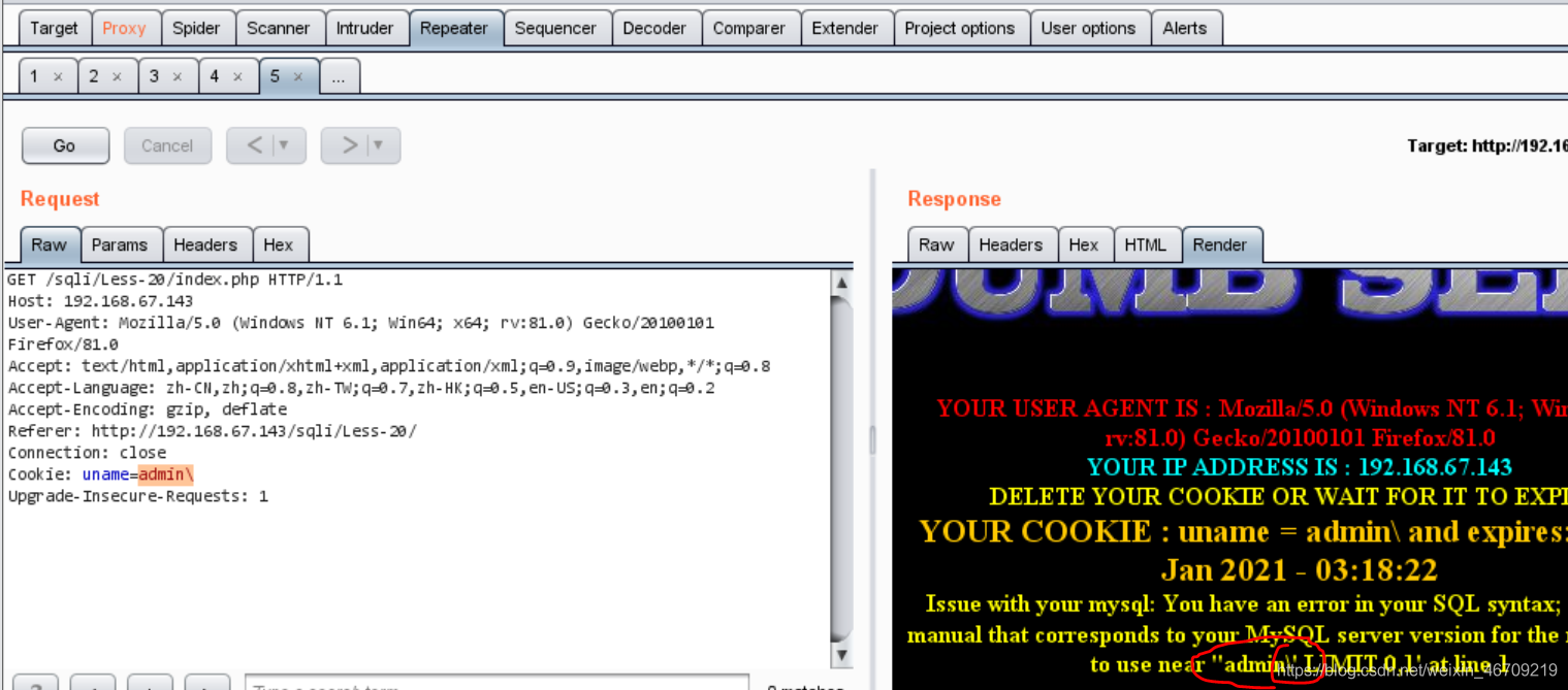sqli-labs靶场实现（八）【cookie注入+cookie base64编码注入】（less-20、less-22、具体步骤+图文详解）_sql-libs靶场 cookie注入-CSDN博客