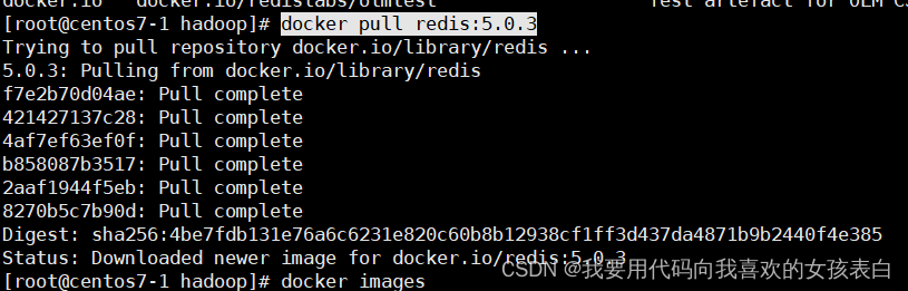 docker redis容器化（极简教程)-CSDN博客
