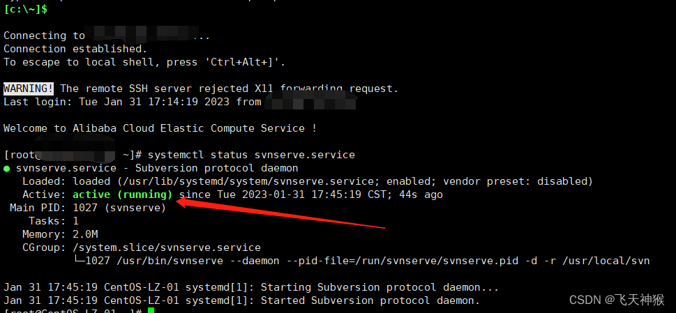 Svn安装与配置指南 Csdn博客 