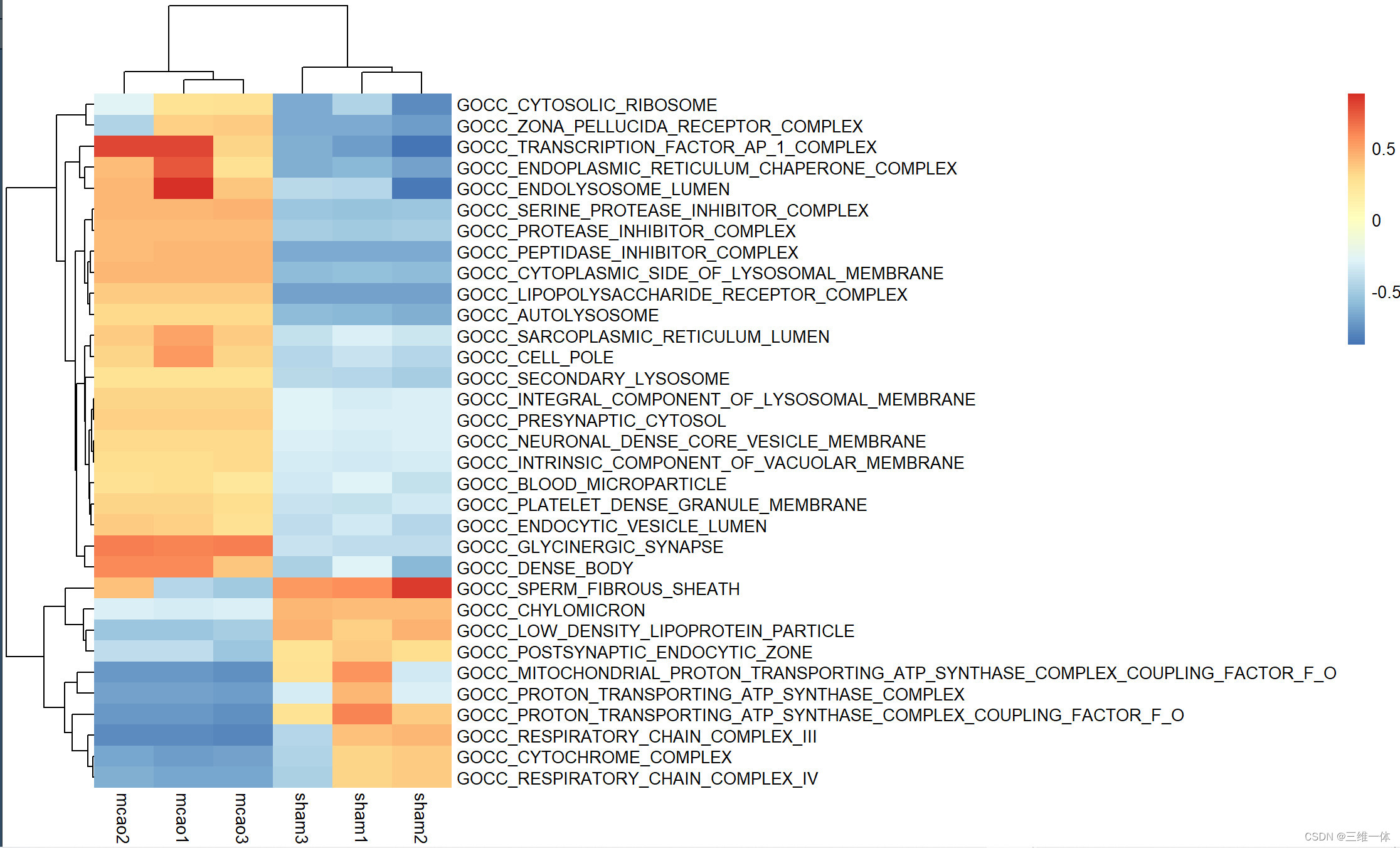 单细胞测序GSVA及下游limma差异分析_单细胞gsva-CSDN博客
