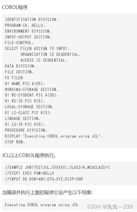 COBOL程序区划详解：逻辑结构与组成部分-CSDN博客