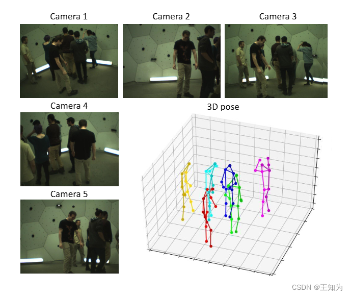 CVPR19’论文阅读Fast and Robust Multi-Person 3D Pose Estimation from Multiple Views-CSDN博客