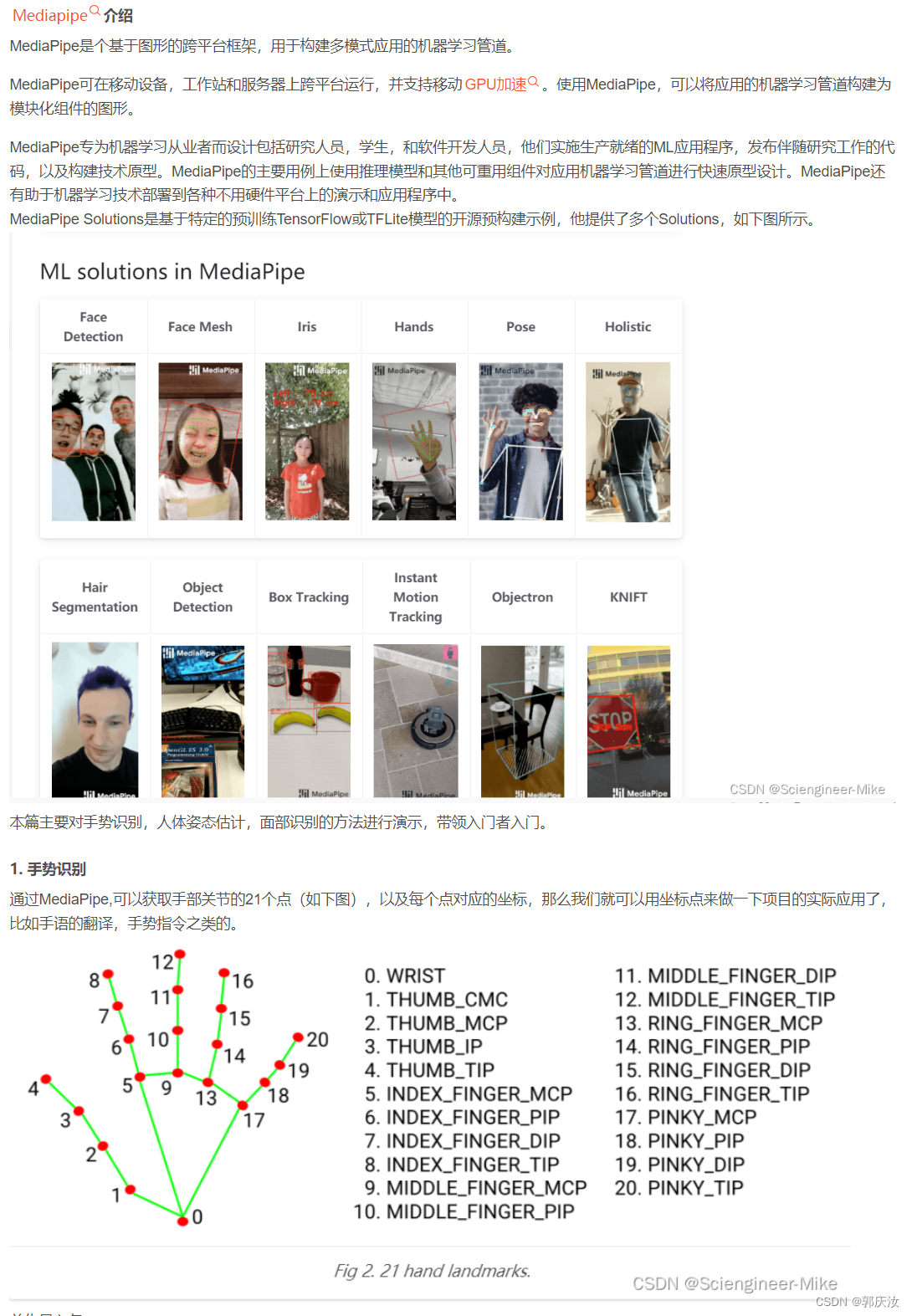 关键点检测 MediaPipe实现手势，人体姿态，面部动作估计的用法_mediapipe人脸识别+手势识别-CSDN博客